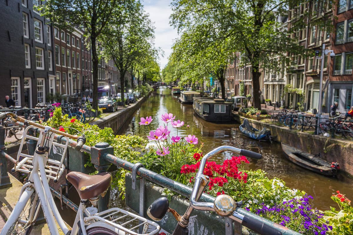 Best Time To Visit Amsterdam | Guide to Europe