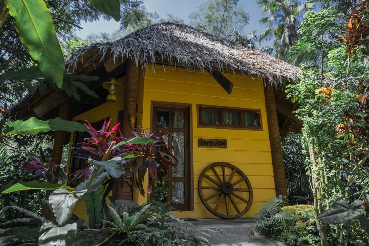 Forest Camp Resort - the Philippines | Best Prices 2026 | Guide to the ...