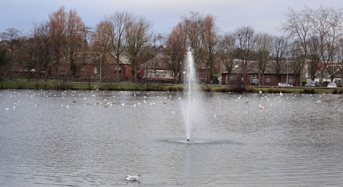 Kay Park, Scotland Travel Guide | Guide to Europe