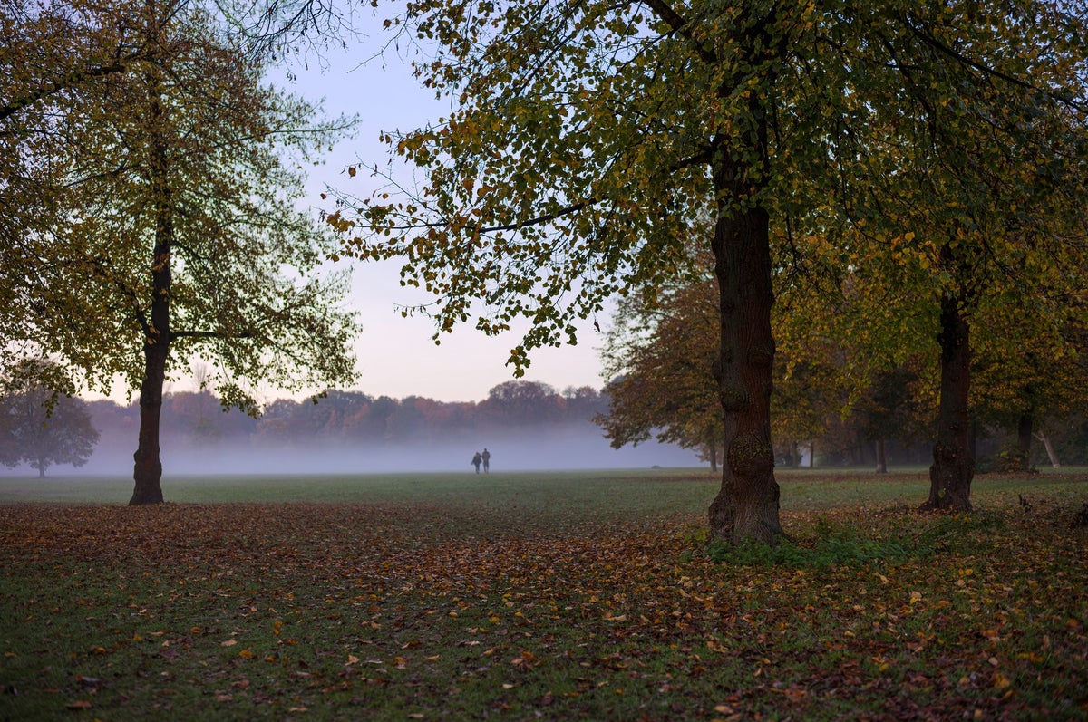 Best Time To Visit Munich: Choosing the Right Moment To Go | Guide to ...