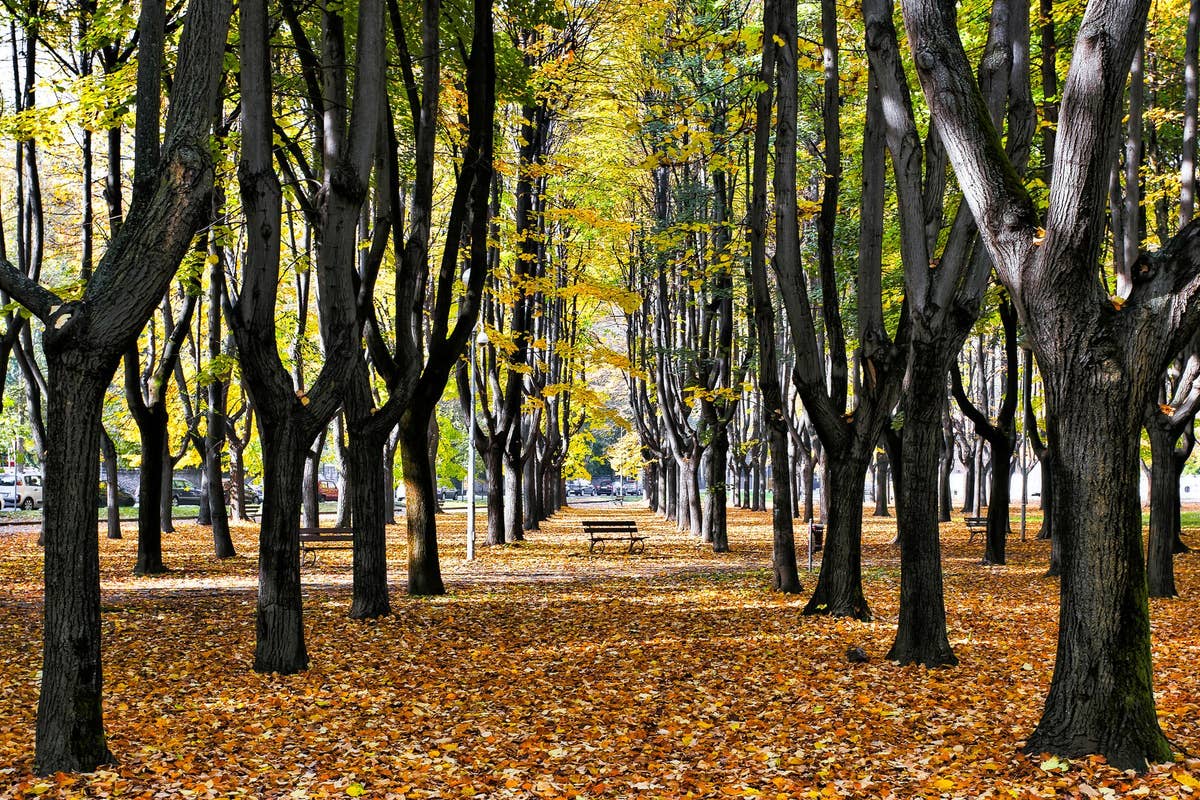5-Day Italy Self-Drive Road Trip With Itinerary from Pisa traveling ...