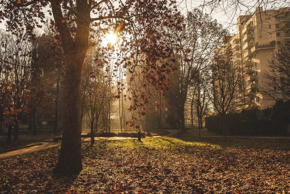 Sesto San Giovanni, Italy Travel Guide | Guide to Europe