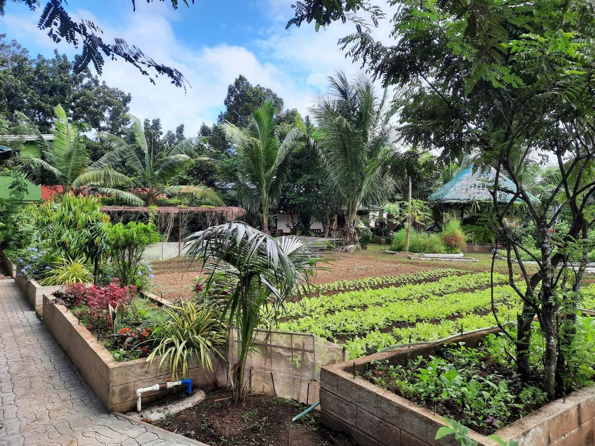 Villegas Organics and Hobby Eco-Tourism Farms - the Philippines | Best ...