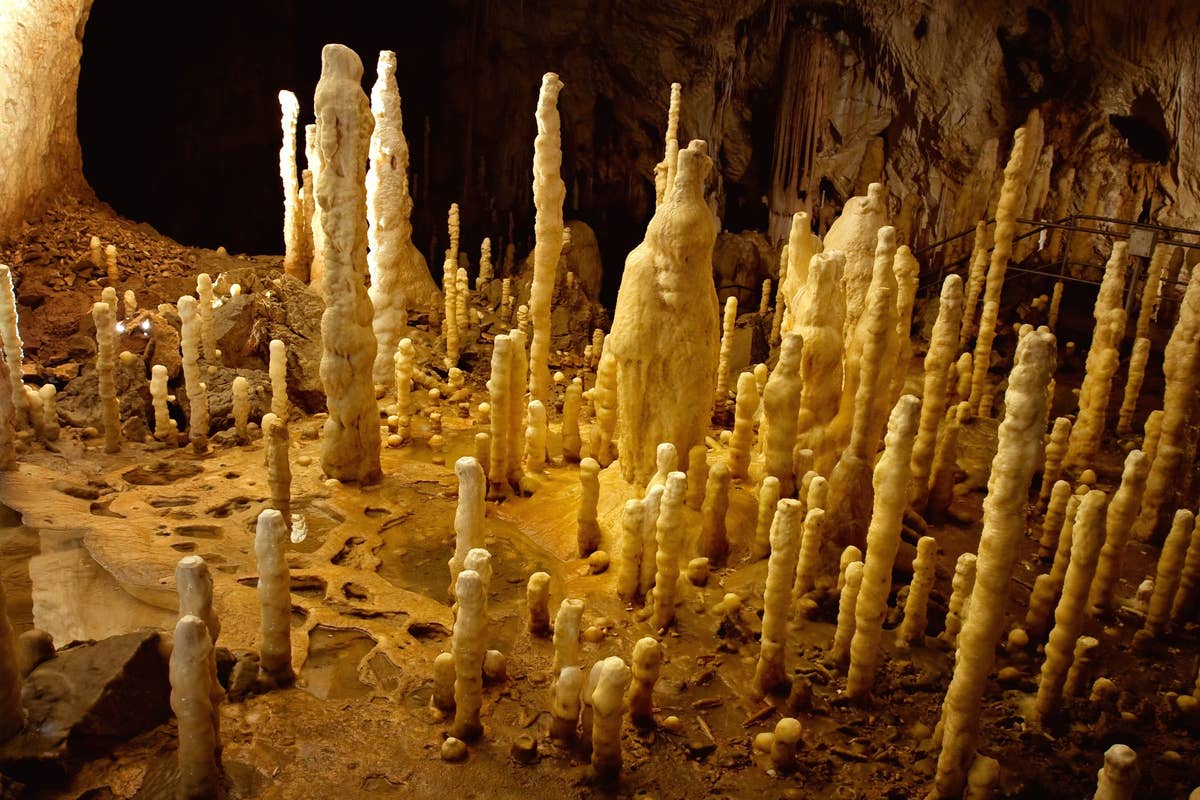 The Bears' Cave, Romania Travel Guide | Guide to Europe